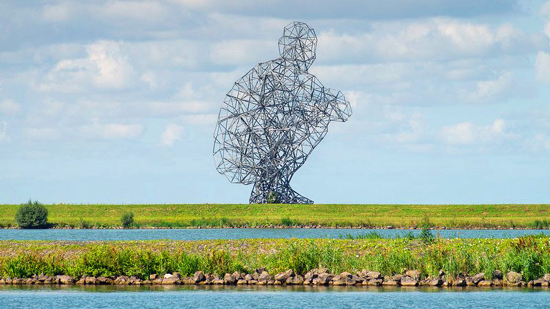 Lelystad – Dutch the media